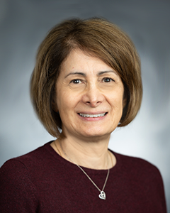 Cynthia Arslanian-Engoren | University of Michigan School of Nursing